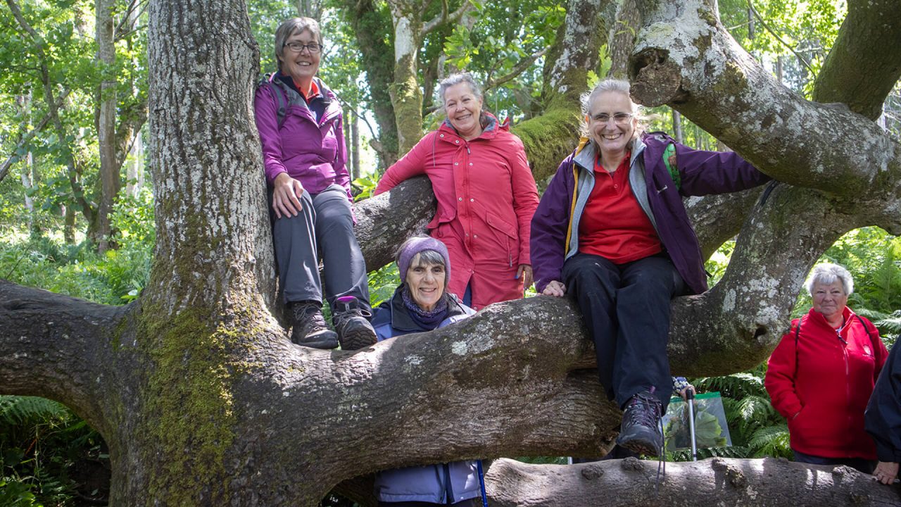 Community Learning and Development | Thriving Communities